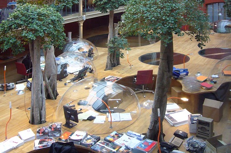 So A Tree Walks Into An Office… | DeepRoot Blog