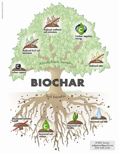 Thoughts on Bio Char Part 1 of 3: History of Bio Char | DeepRoot Blog