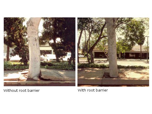 Deep Root Tree Root Barrier
