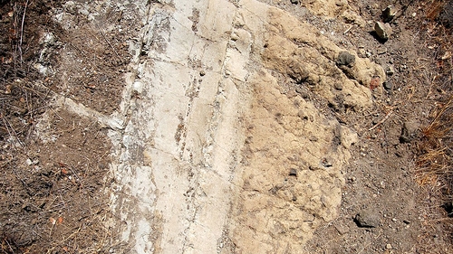 All About Marginal Soils Part 1 of 3: How Soils Are Broken | DeepRoot Blog
