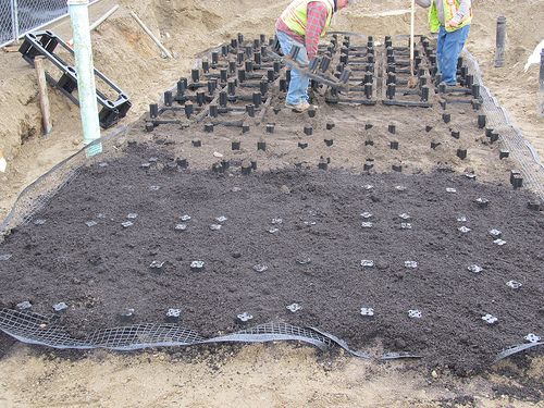 How Long Can Soils “Live” Under Paving Without Trees? | DeepRoot Blog