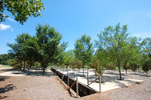 Suspended Pavement at the Bartlett Tree Lab, Year 7 | DeepRoot Blog