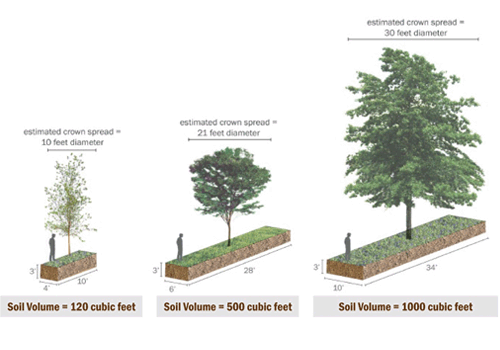 High Performance Urban Forestry for Green Infrastructure | DeepRoot Blog