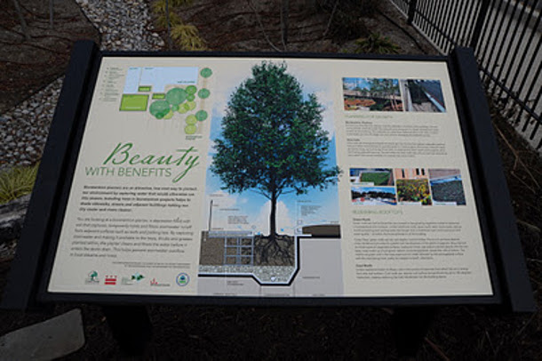 Casey Tree’s Silva Cell Bioretention Garden Panel | DeepRoot Blog