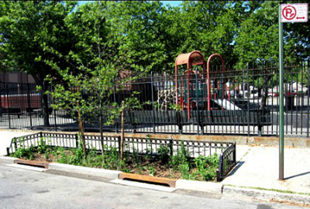 What’s Missing From NYC’s Enhanced Bioswale Tree Pits | DeepRoot Blog