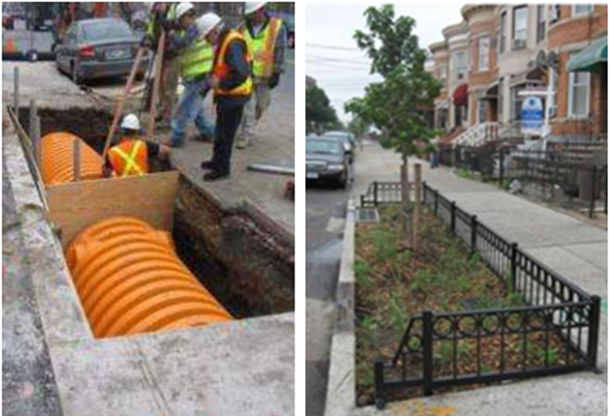 What’s Missing From NYC’s Enhanced Bioswale Tree Pits | DeepRoot Blog