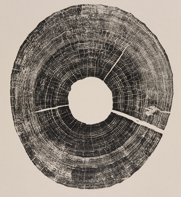 Woodcut Prints Showcase the Beauty of Tree Rings | DeepRoot Blog