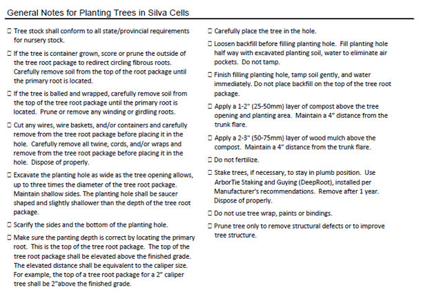 Proper Tree Installation & Maintenance Making Your Hard Work Count ...