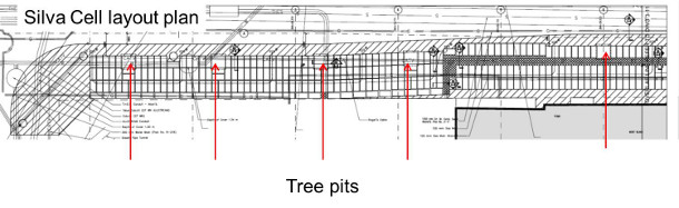Urban Forestry: Silva Cells and Rainwater Capture in Toronto | Smart ...