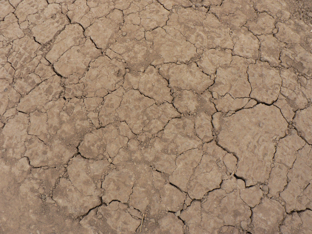 Webinar: Designing for Desert Soils | DeepRoot Blog Webinar: Designing for Desert Soils | DeepRoot Blog