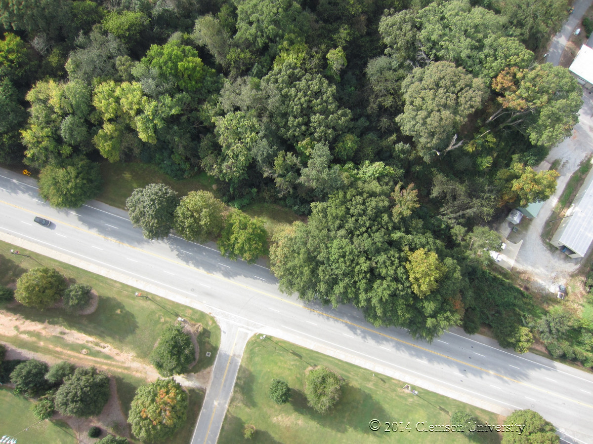 Using Drones to Maintain Urban Woods and Greenery | Smart Cities Dive