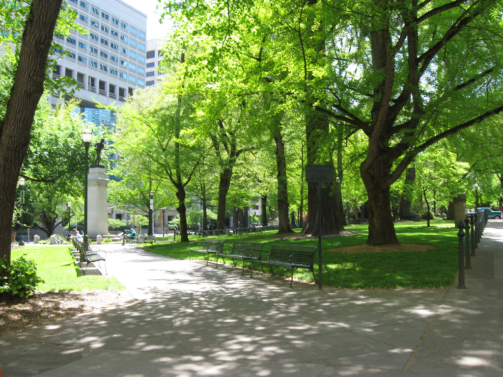 Is i-Tree Underestimating Eco-Benefits of Urban Trees? | DeepRoot Blog