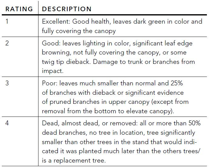 Silva Cell Research Part 1: Study design and raw growth results ...