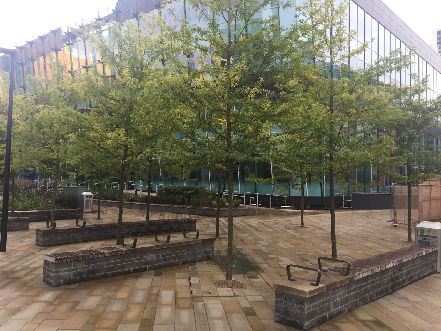Leeds’ Urban Renewal Brings Trees to the City CentreSilva Cell Case ...