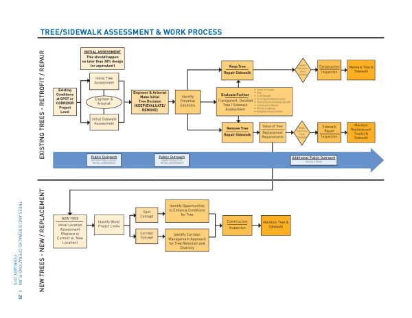 Trees and sidewalks: A strategic approach to conflicts | DeepRoot Blog