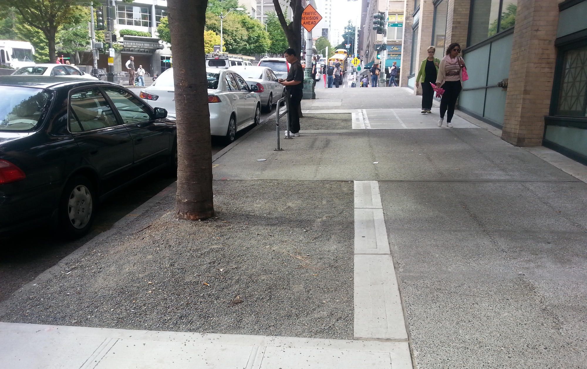 Trees and sidewalks: A strategic approach to conflicts | DeepRoot Blog