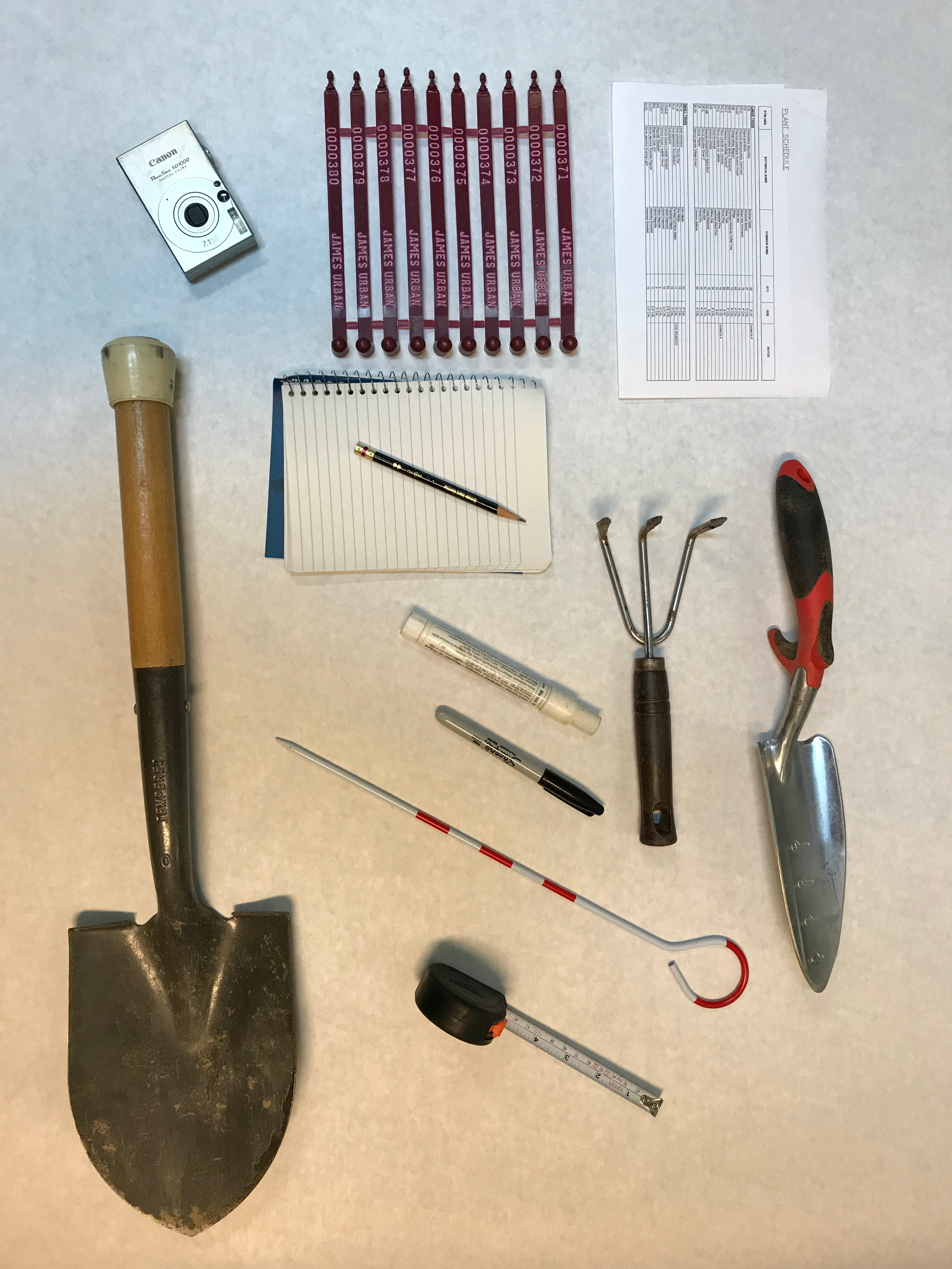 Nursery Inspections: Creating and enforcing plant quality ...