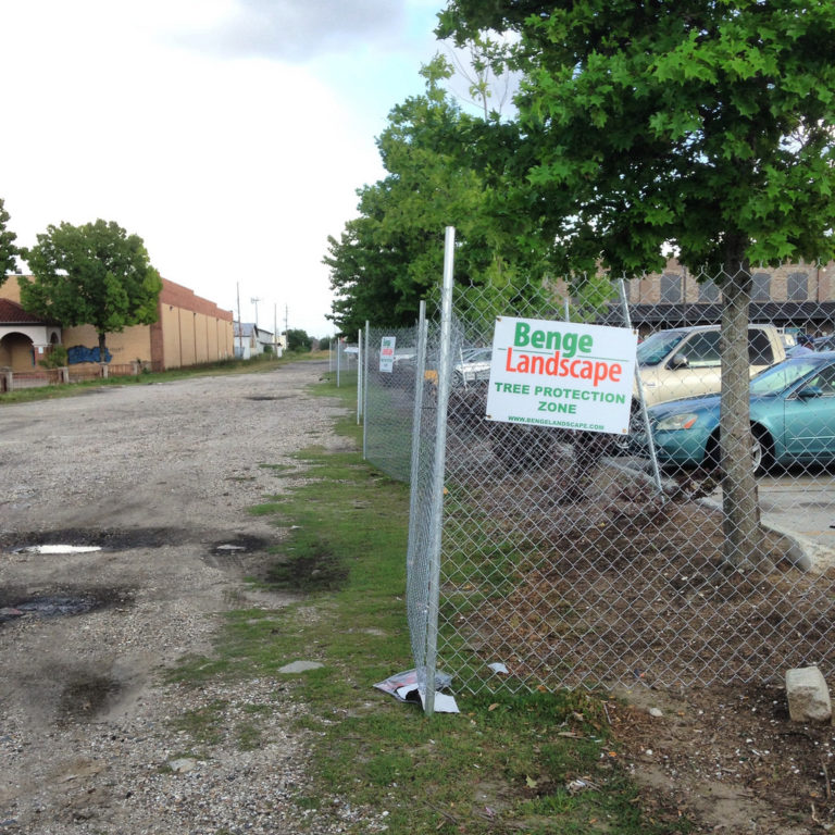 Tree Pits Are the “Pits” But We Can Make Them Better | DeepRoot Blog