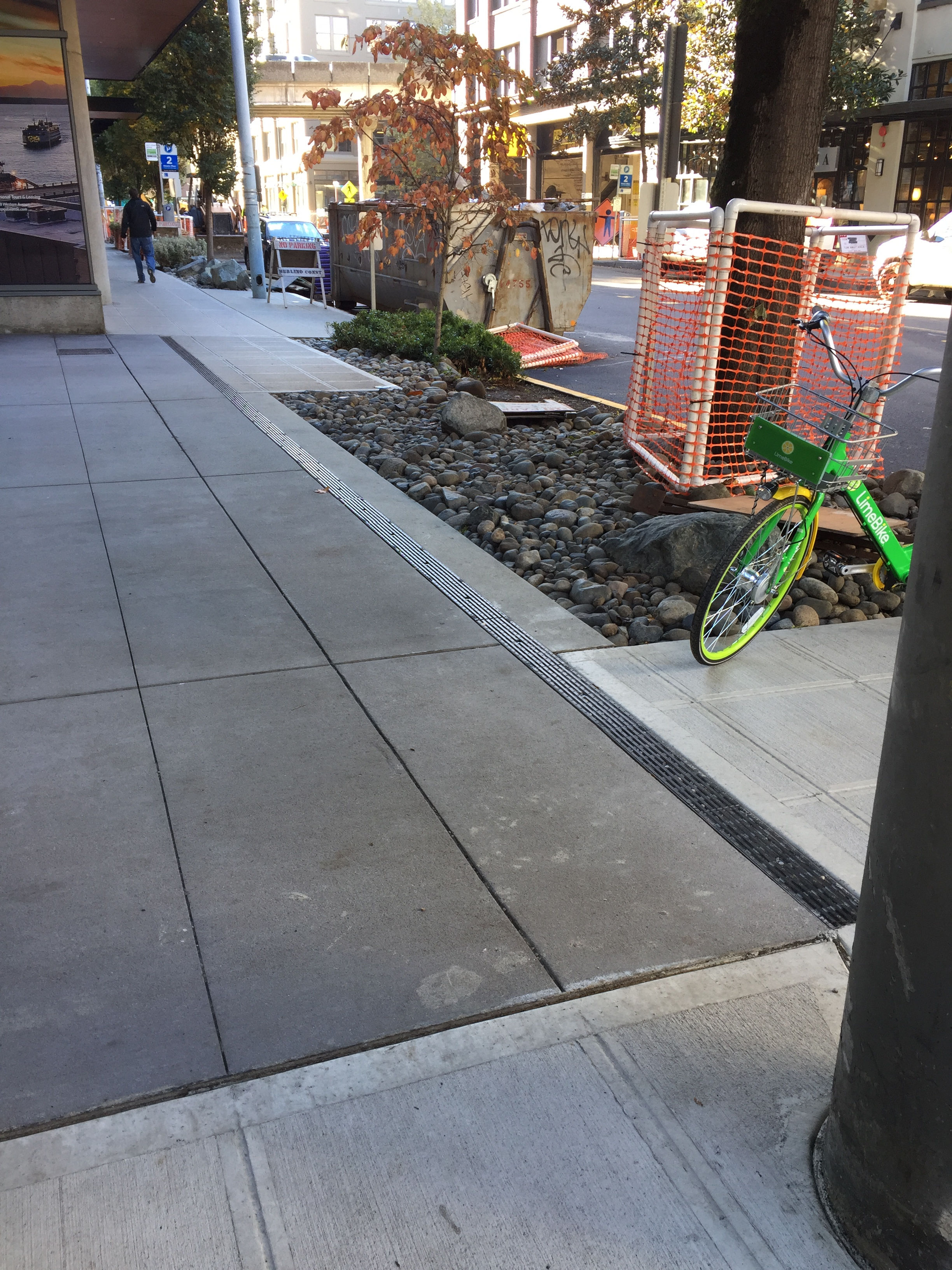 Tree Pits Are the “Pits” But We Can Make Them Better | DeepRoot Blog
