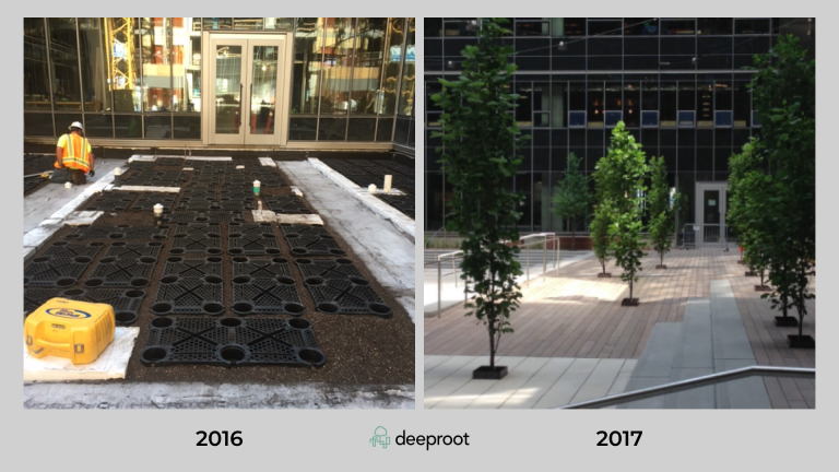 Using Silva Cells with Green Roofs and On-Structure Applications ...