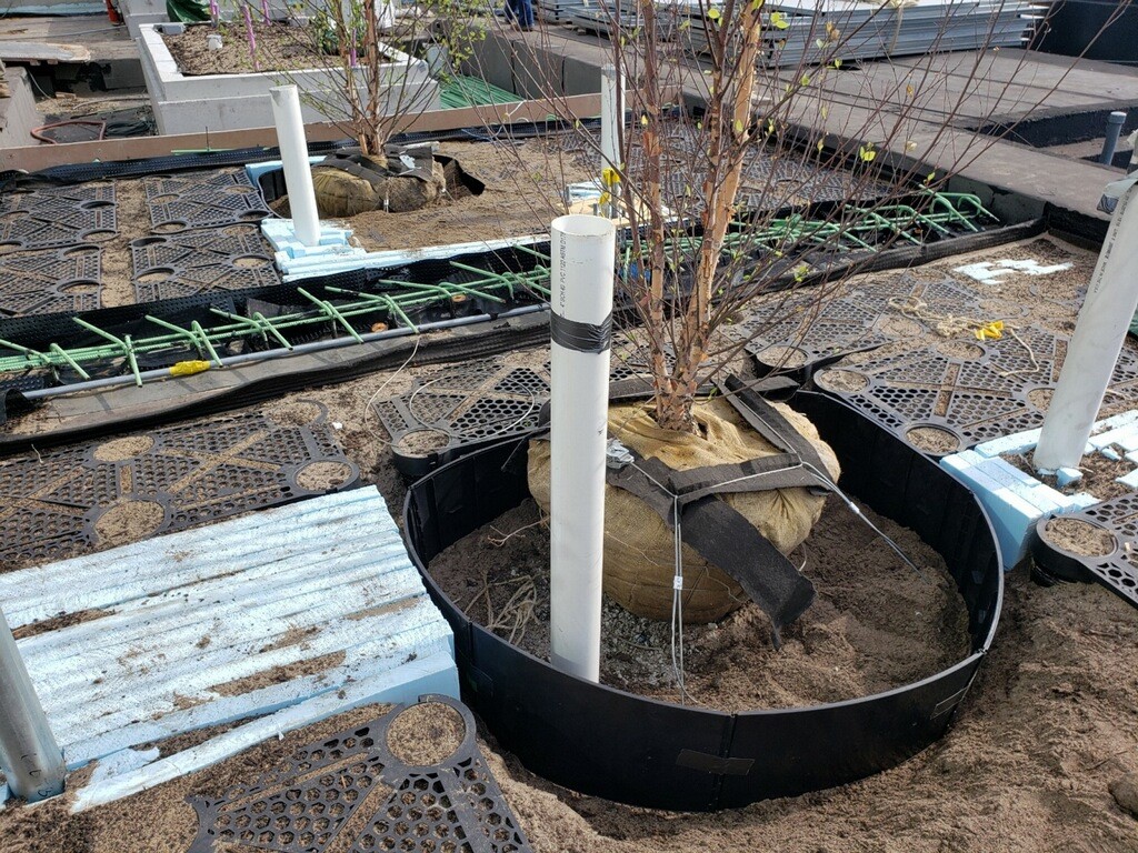 Using Silva Cells with Green Roofs and On-Structure Applications ...