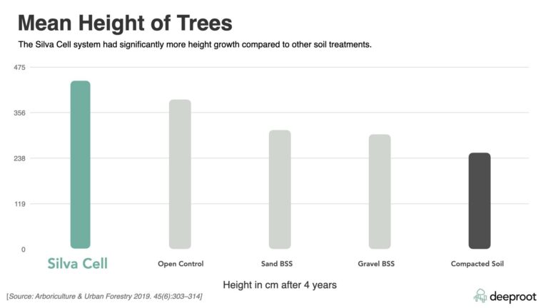 Comparing Silva Cells and Structural Soil | DeepRoot Blog