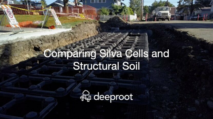 Comparing Silva Cells and Structural Soil | DeepRoot Blog