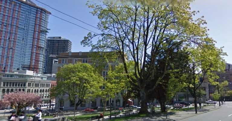 The Hardest Working Street Trees in Vancouver, BC | DeepRoot Blog