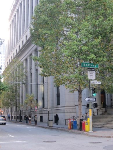 Sites Where Ordinary Street Trees Fare Best | DeepRoot Blog