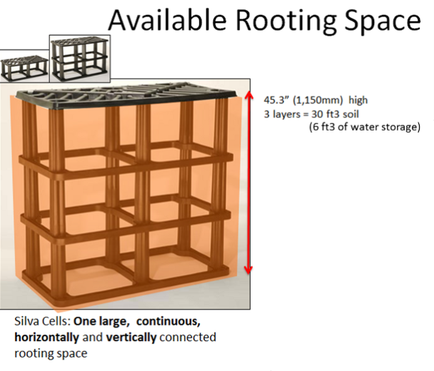 Silva Cell Design Features Explained | DeepRoot Blog