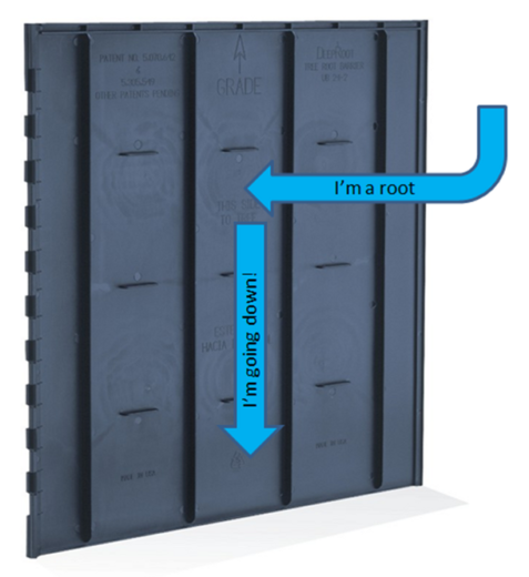 Root Barrier | DeepRoot Blog