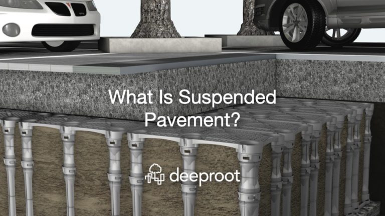 What Is Suspended Pavement? | DeepRoot Blog