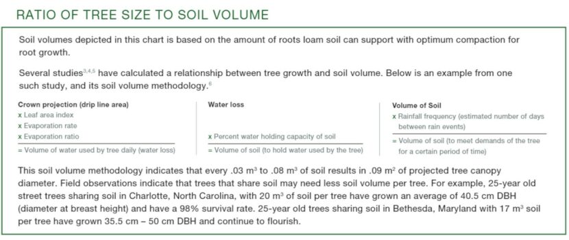 Our Recommended Soil Volume for Urban Trees | DeepRoot Blog