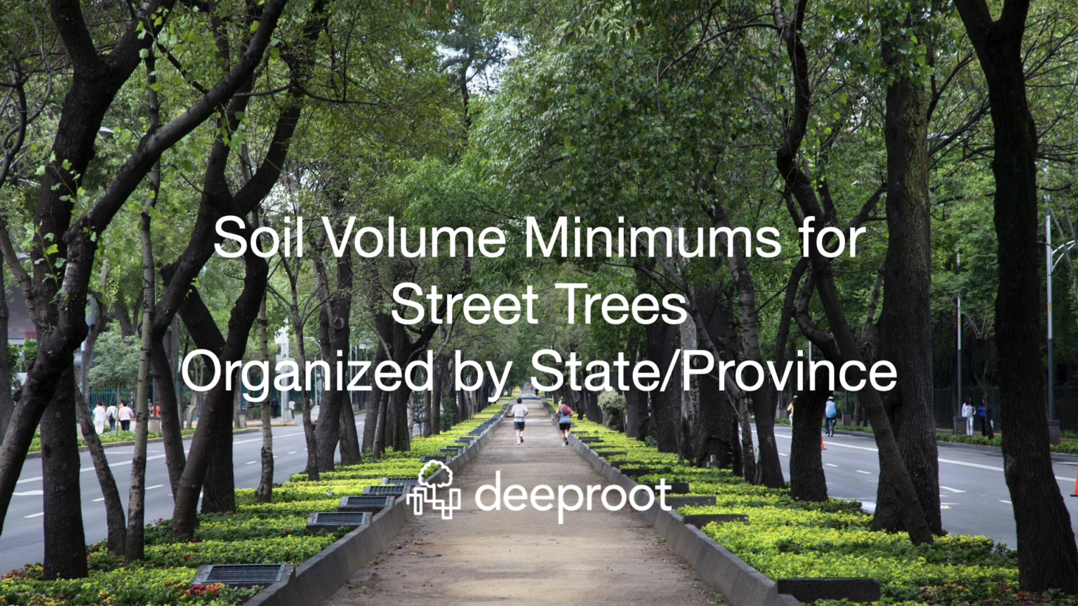 What's the Difference Between Urban Soil and Forest Soil? | DeepRoot Blog
