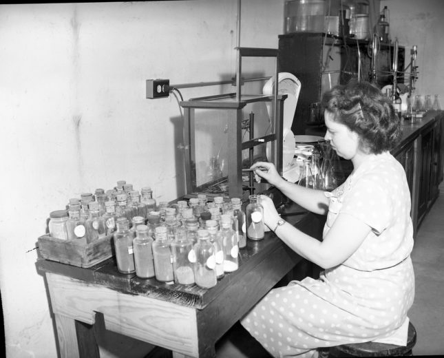 How and When to Do a Soil Test | DeepRoot Blog