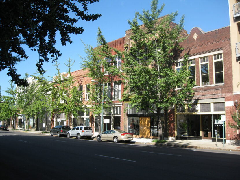 Trees in Hard Landscapes: A Guide for Delivery | DeepRoot Blog