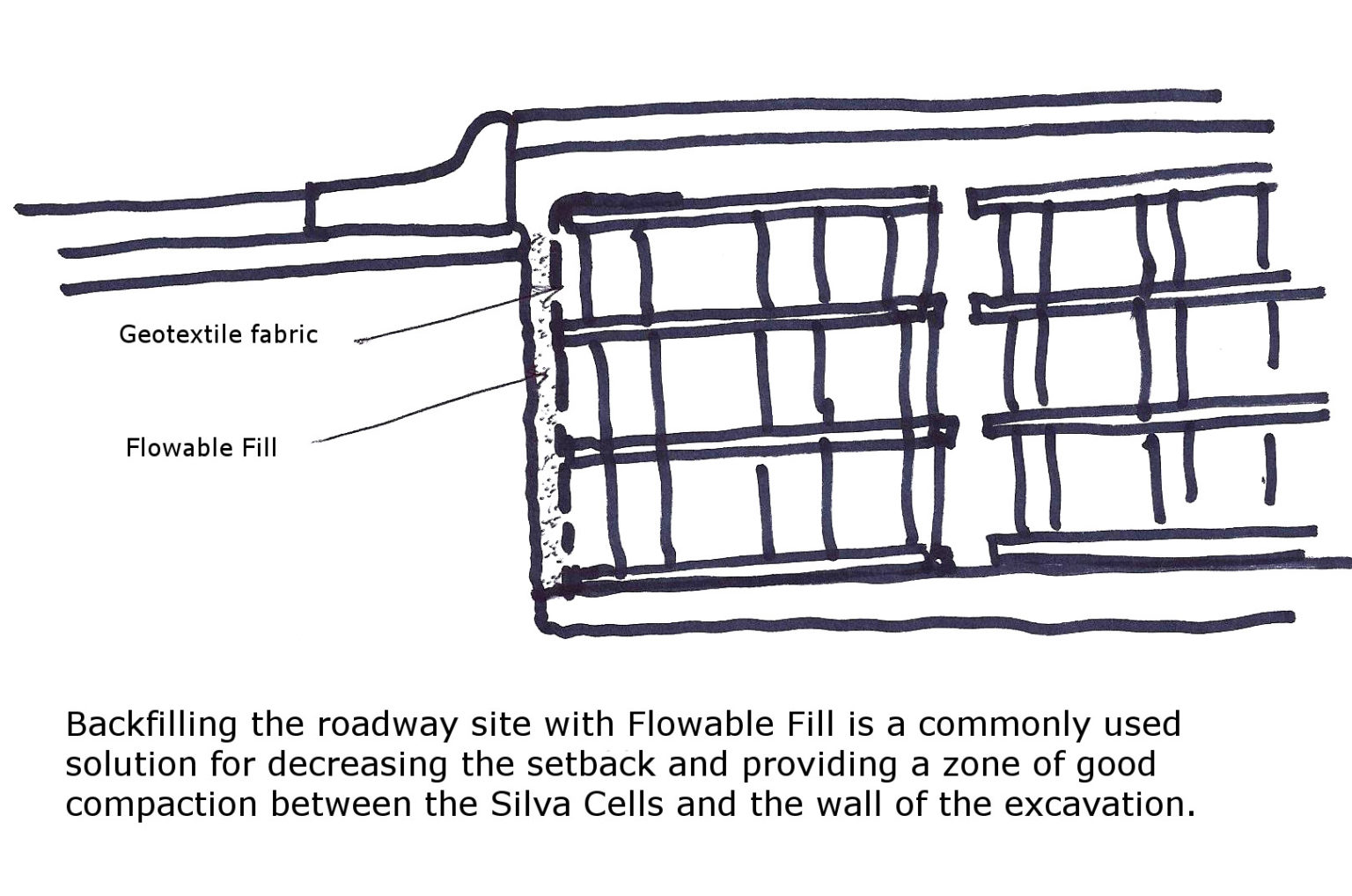 All About Silva Cell Setbacks | DeepRoot Blog