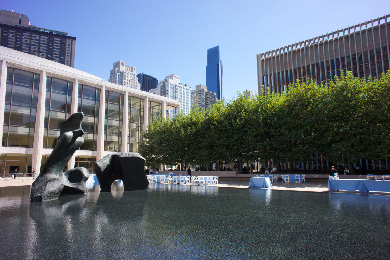 A Brief History of Trees in Suspended Pavement | DeepRoot Blog