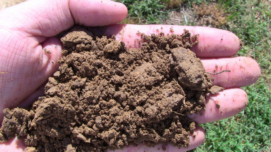 Is Soil Renewable or Non-Renewable? | DeepRoot Blog