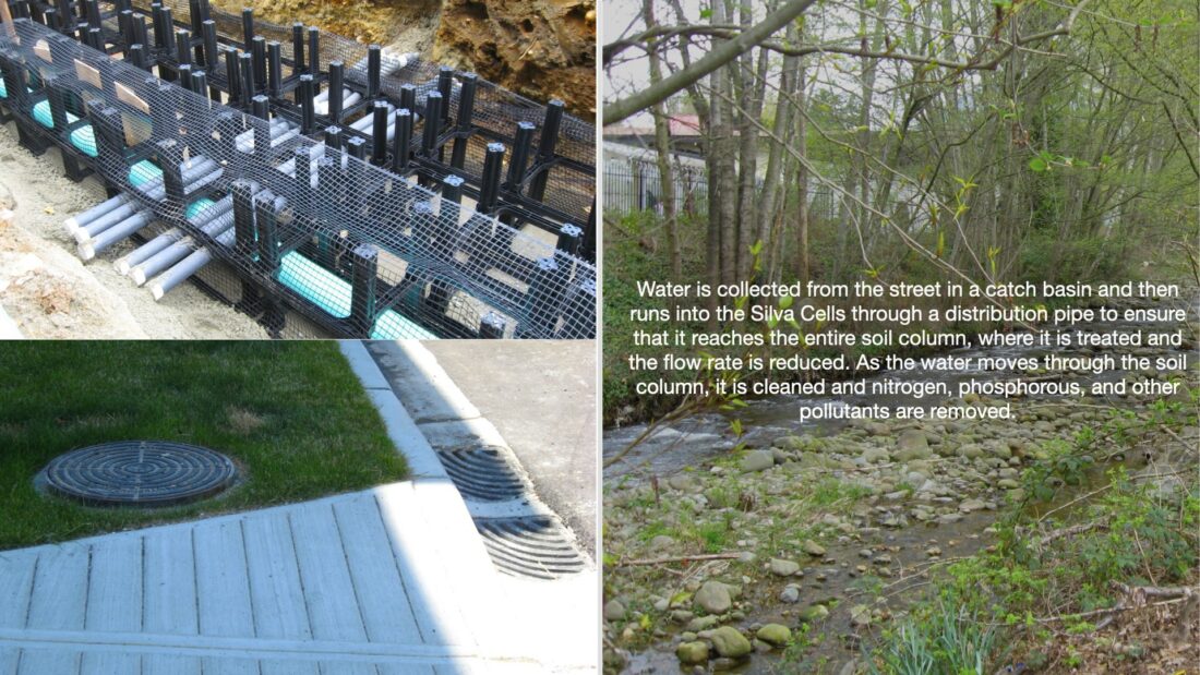 Bioretention Tree Lawn is Free of SettlementSilva Cell case study ...