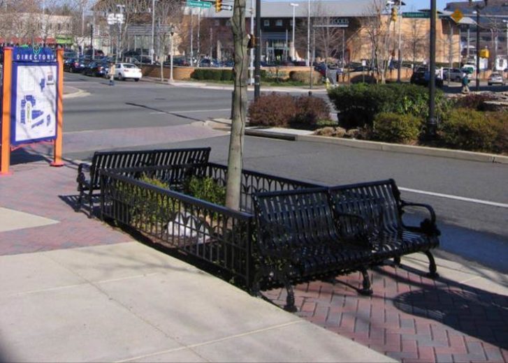 The Case For Big Tree Openings | DeepRoot Blog