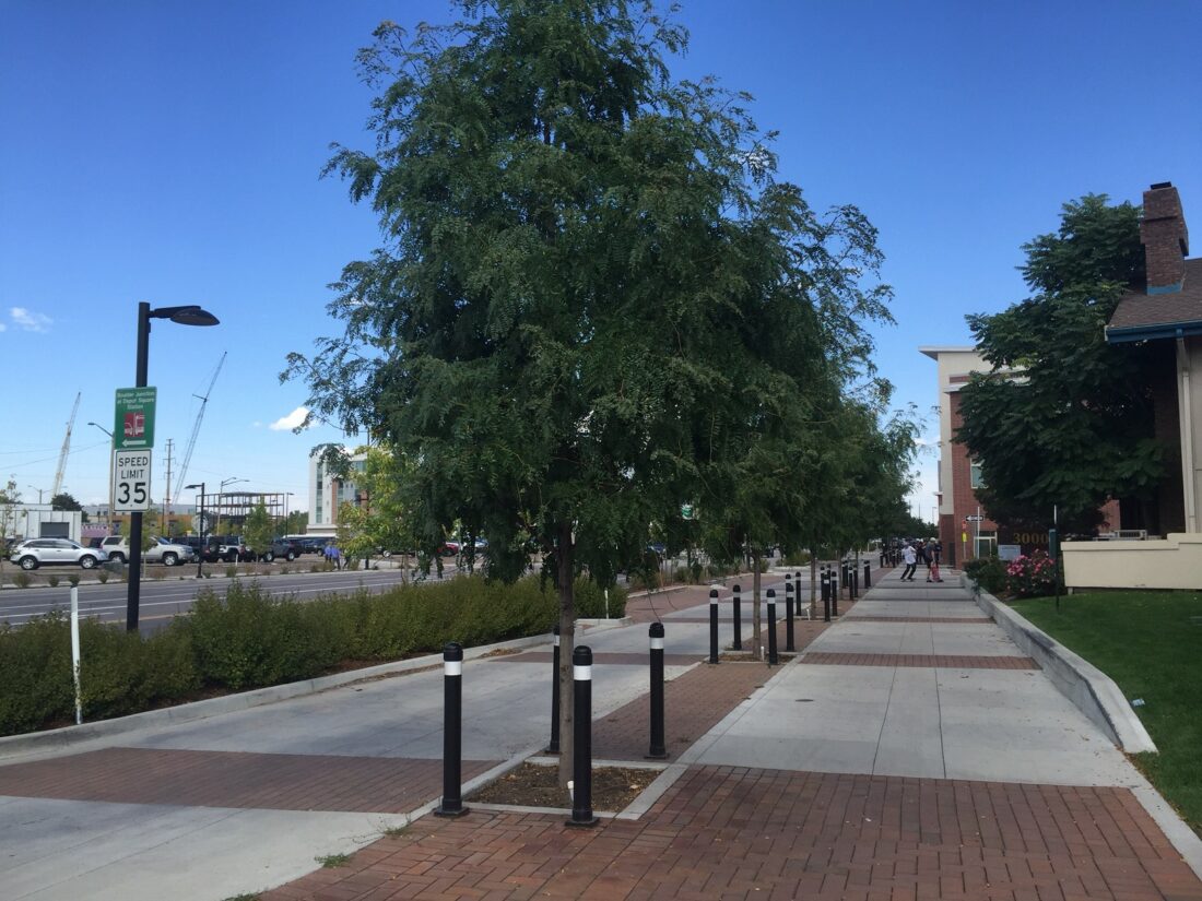 Boulder Junction Project Overcomes Space Constraints with Silva Cells | Case Study | DeepRoot