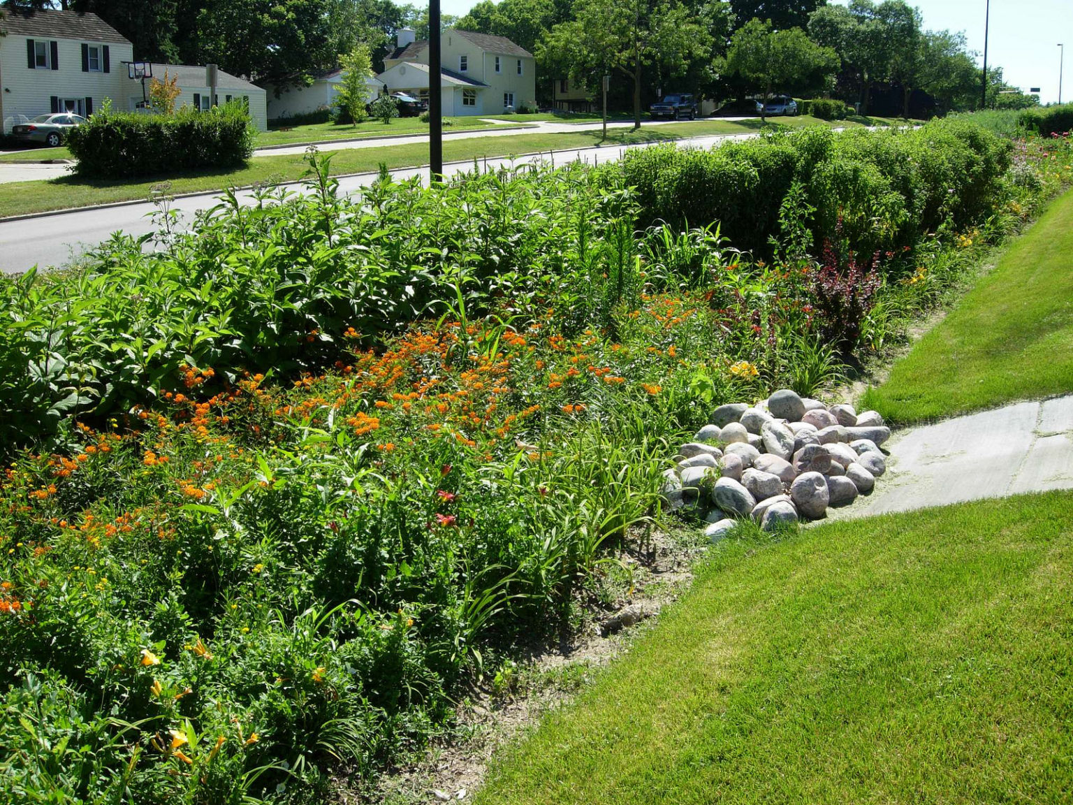 3 Questions About Bioretention Soils and Infiltration | DeepRoot Blog