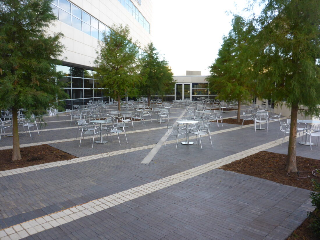 Nature: A Critical Element of Patient-Centered Care Silva Cell Case ...