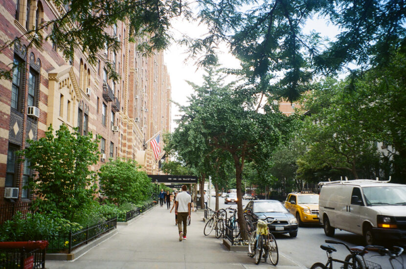 Why Trees May Fail to Establish or Thrive (and what to do about it ...