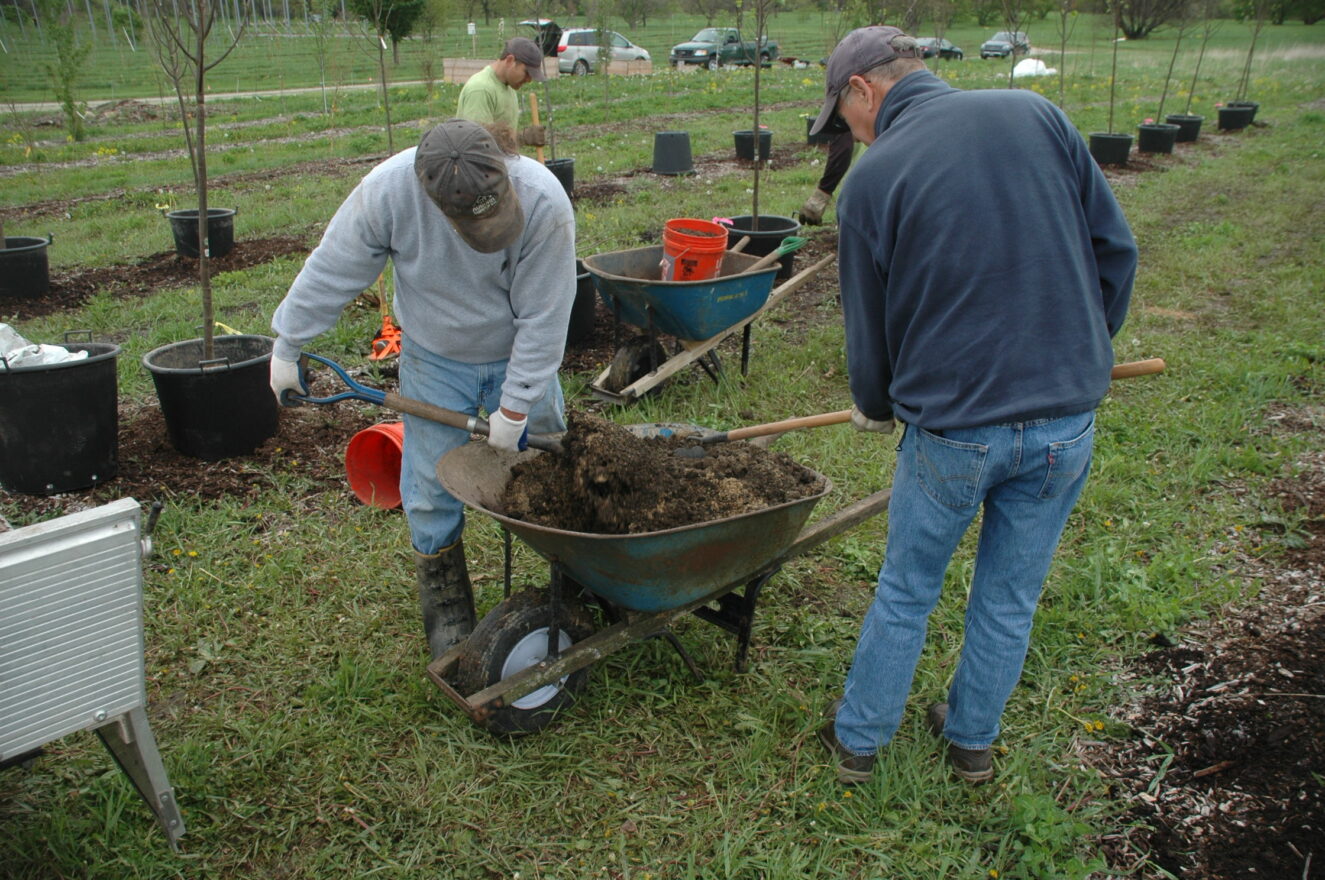 Can Dirt Become Soil Again? | DeepRoot Blog