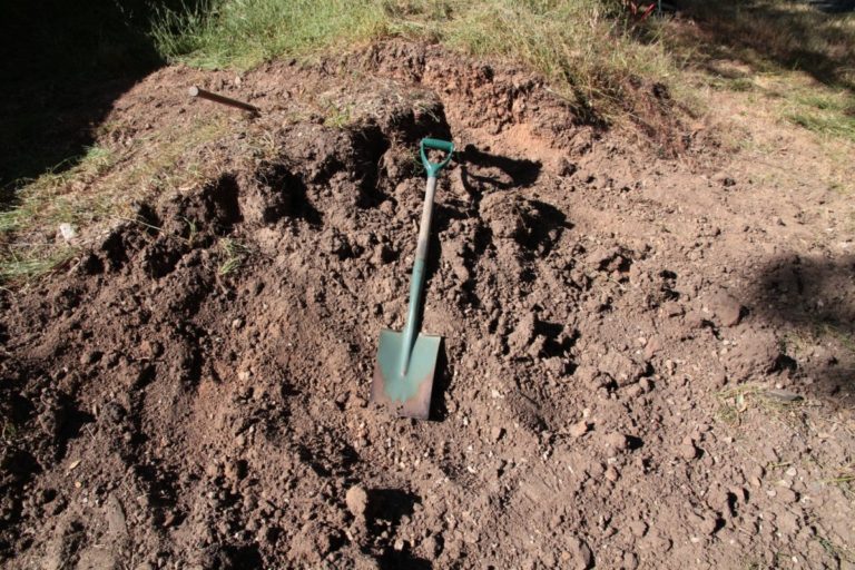 A New Method to Rehabilitate Damaged Soils | DeepRoot Blog