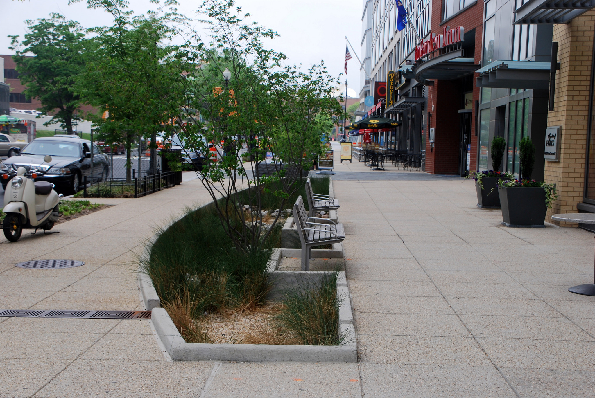 Research Shows Trees in Bioswales Provide Significant Stormwater ...
