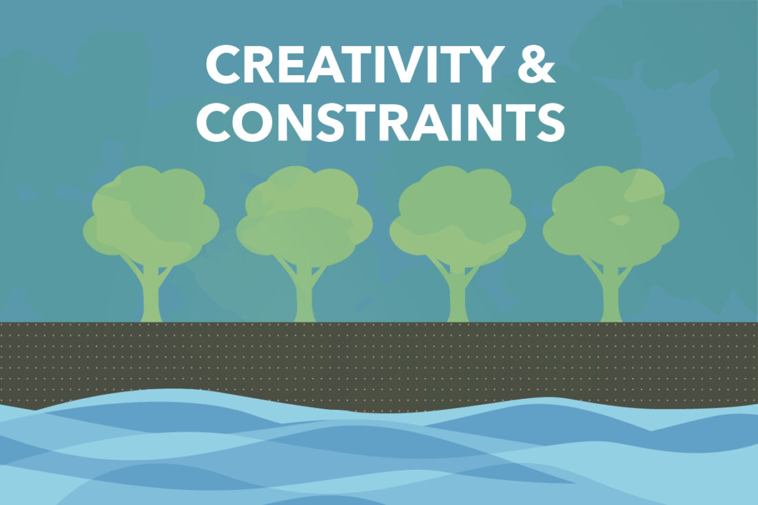 Episode 4: Creativity and Constraints | DeepRoot Blog