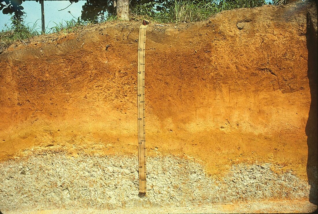 Urban Soil Assessment and ReusePart 1: Soil Properties | DeepRoot Blog